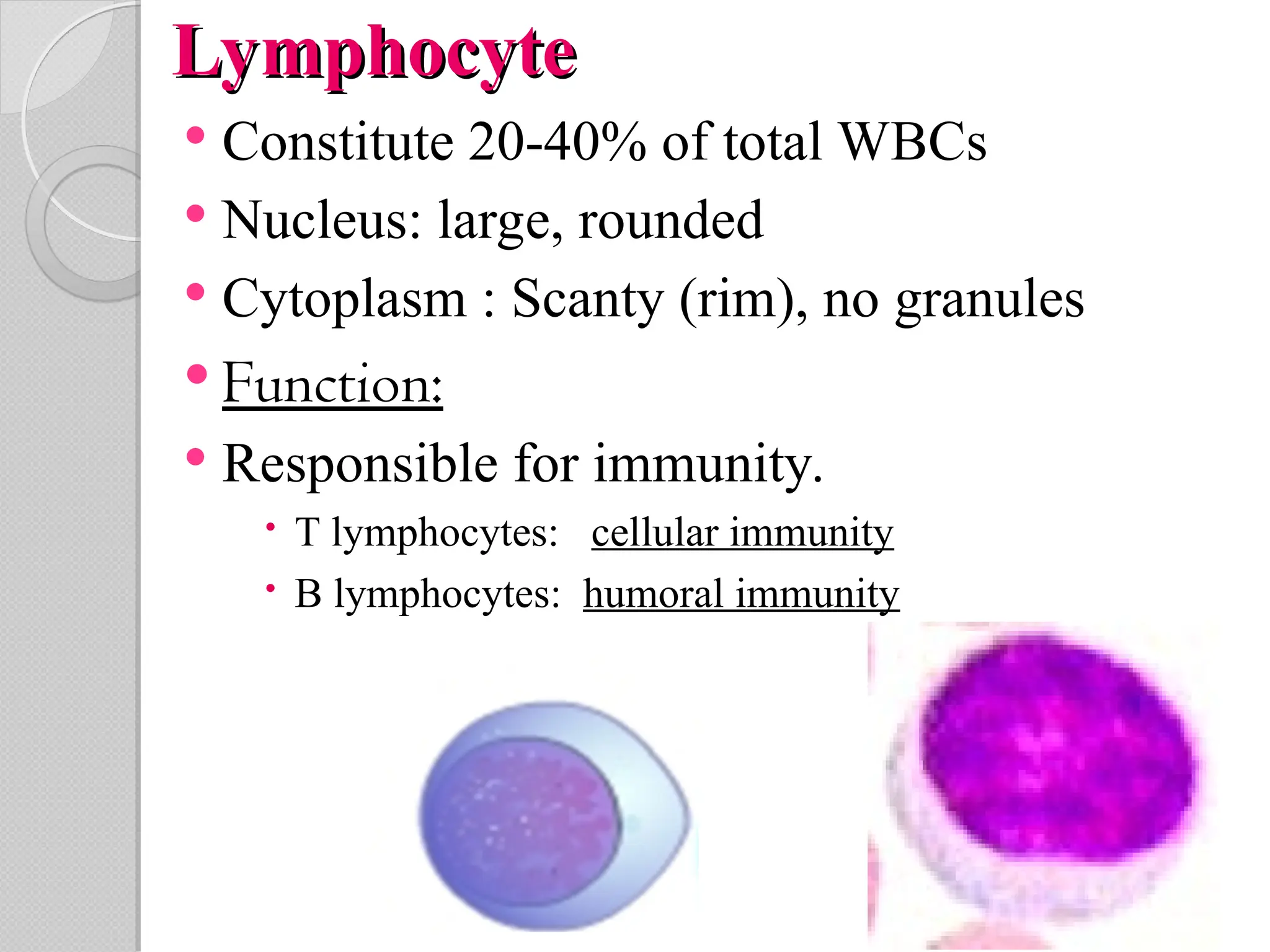 Hematology -WBCs.ppt• Definitions and classifications of tumors (benign ...