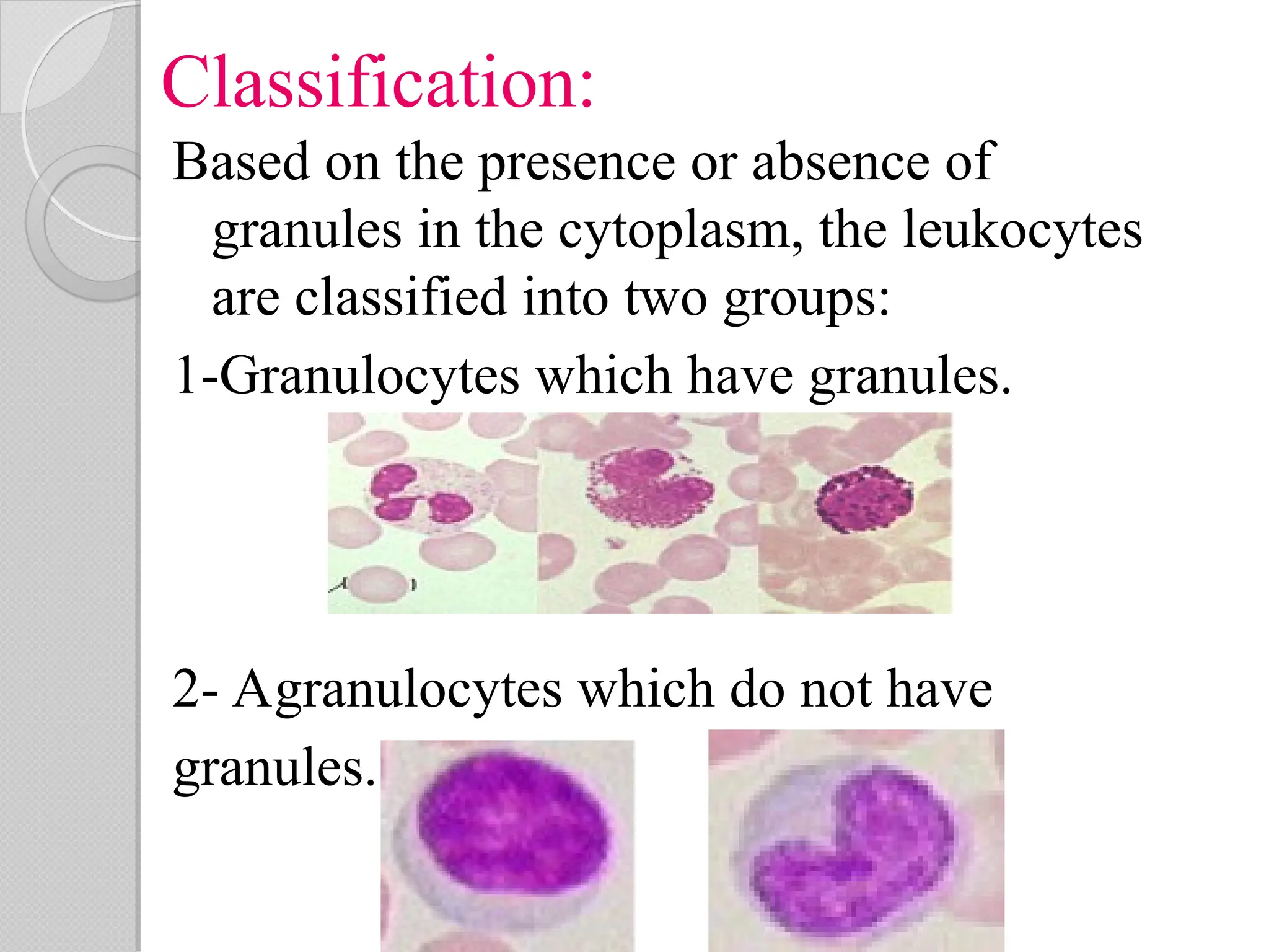 Hematology -WBCs.ppt• Definitions and classifications of tumors (benign ...