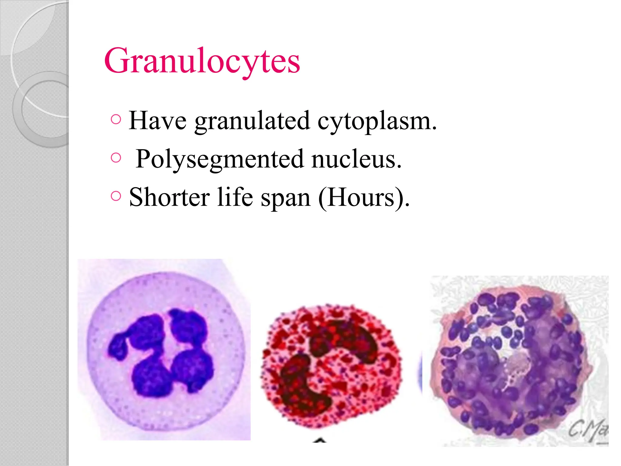 Hematology -WBCs.ppt• Definitions and classifications of tumors (benign ...