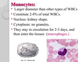 Hematology -WBCs.ppt• Definitions and classifications of tumors (benign ...