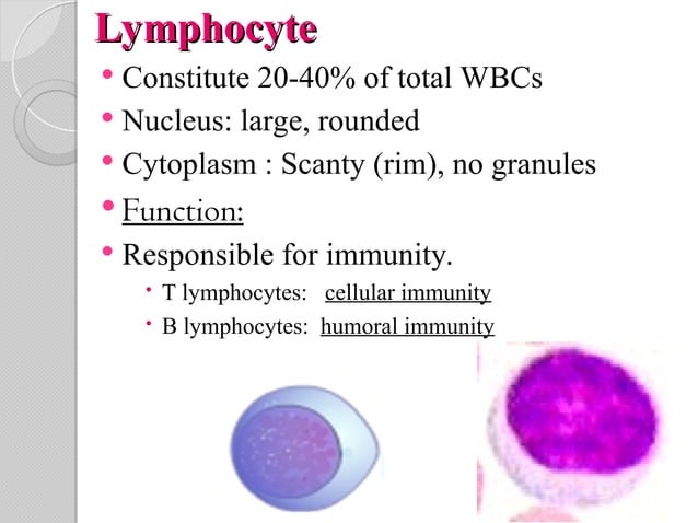 Hematology -WBCs.ppt• Definitions and classifications of tumors (benign ...