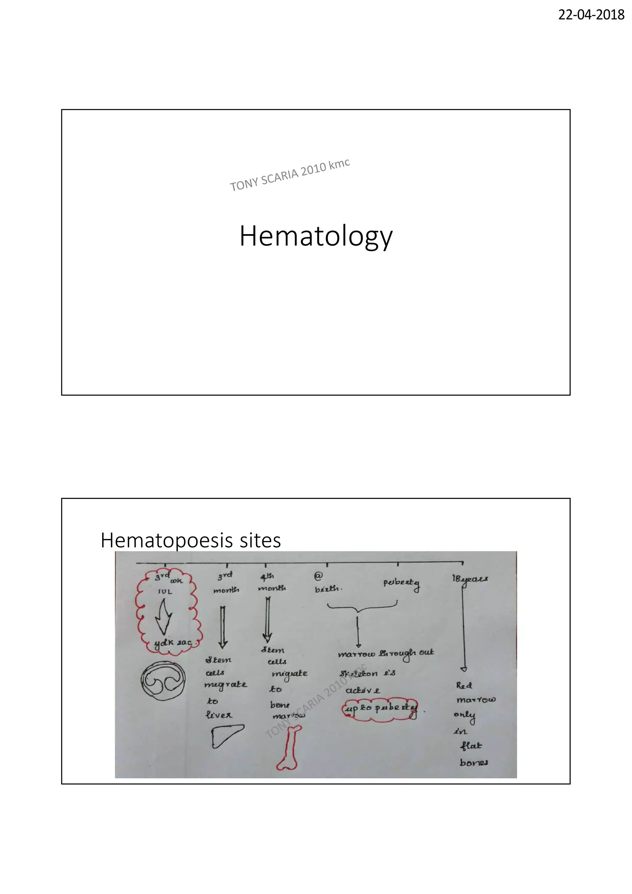 Hematology revision notes pathology | PDF