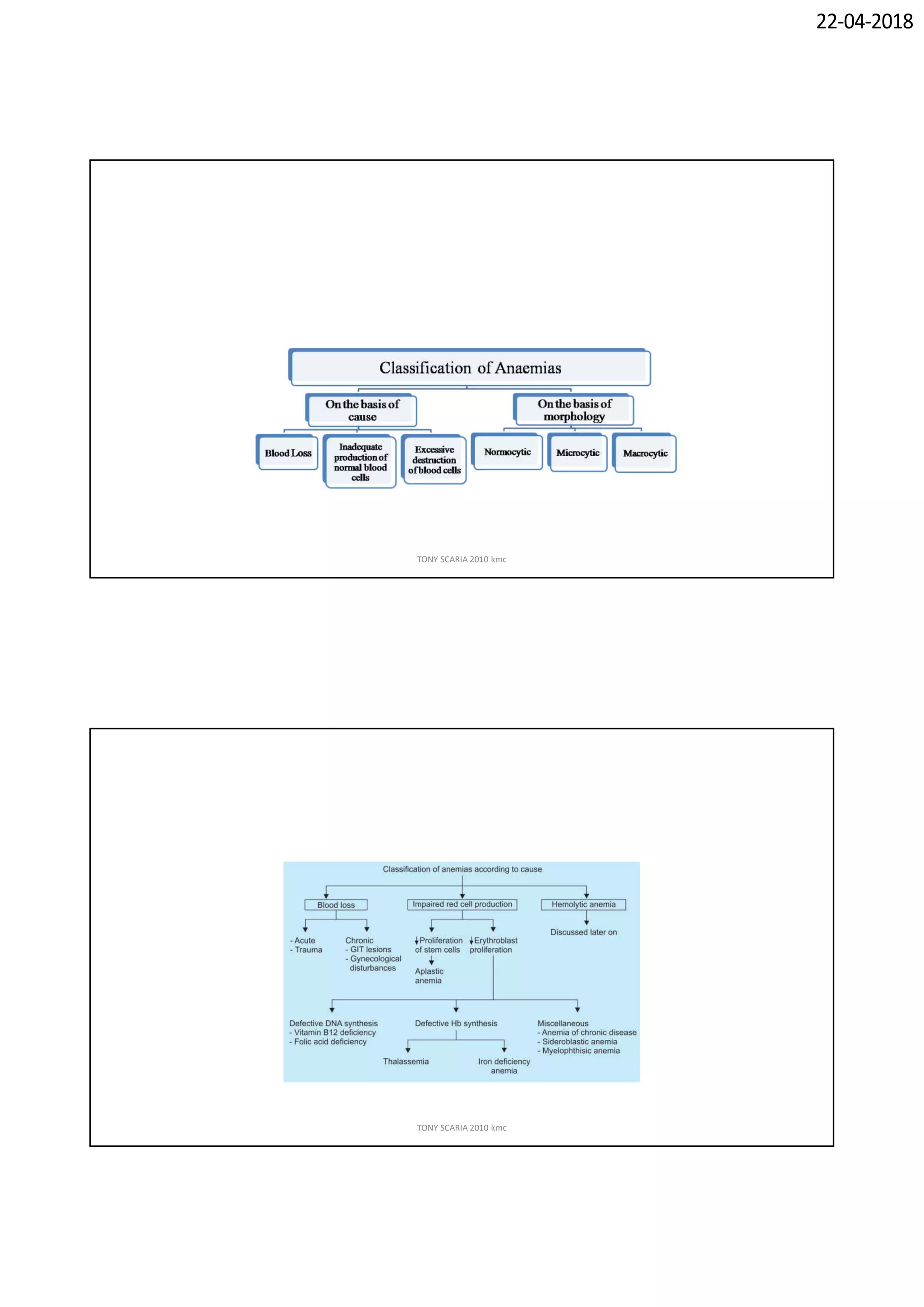 Hematology revision notes pathology | PDF