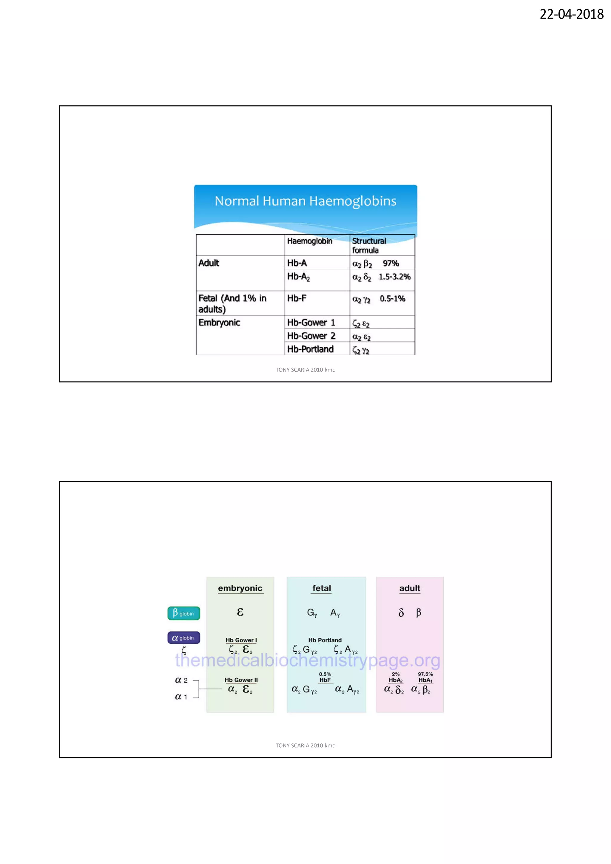 Hematology revision notes pathology | PDF