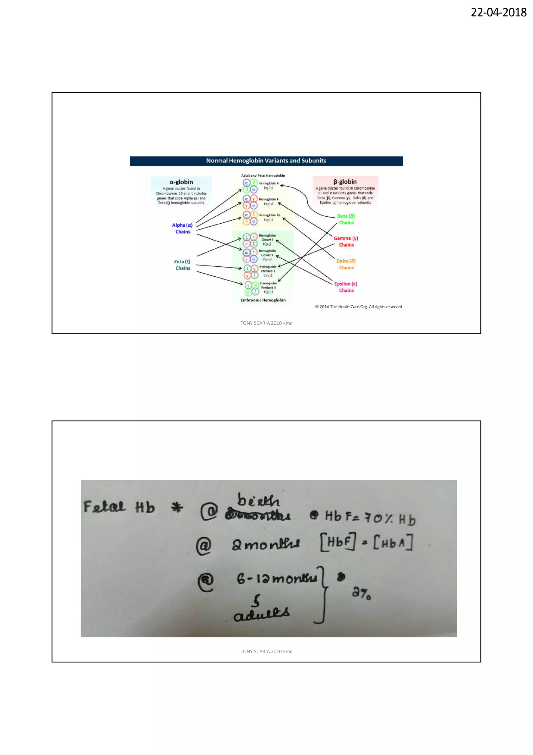 Hematology revision notes pathology | PDF