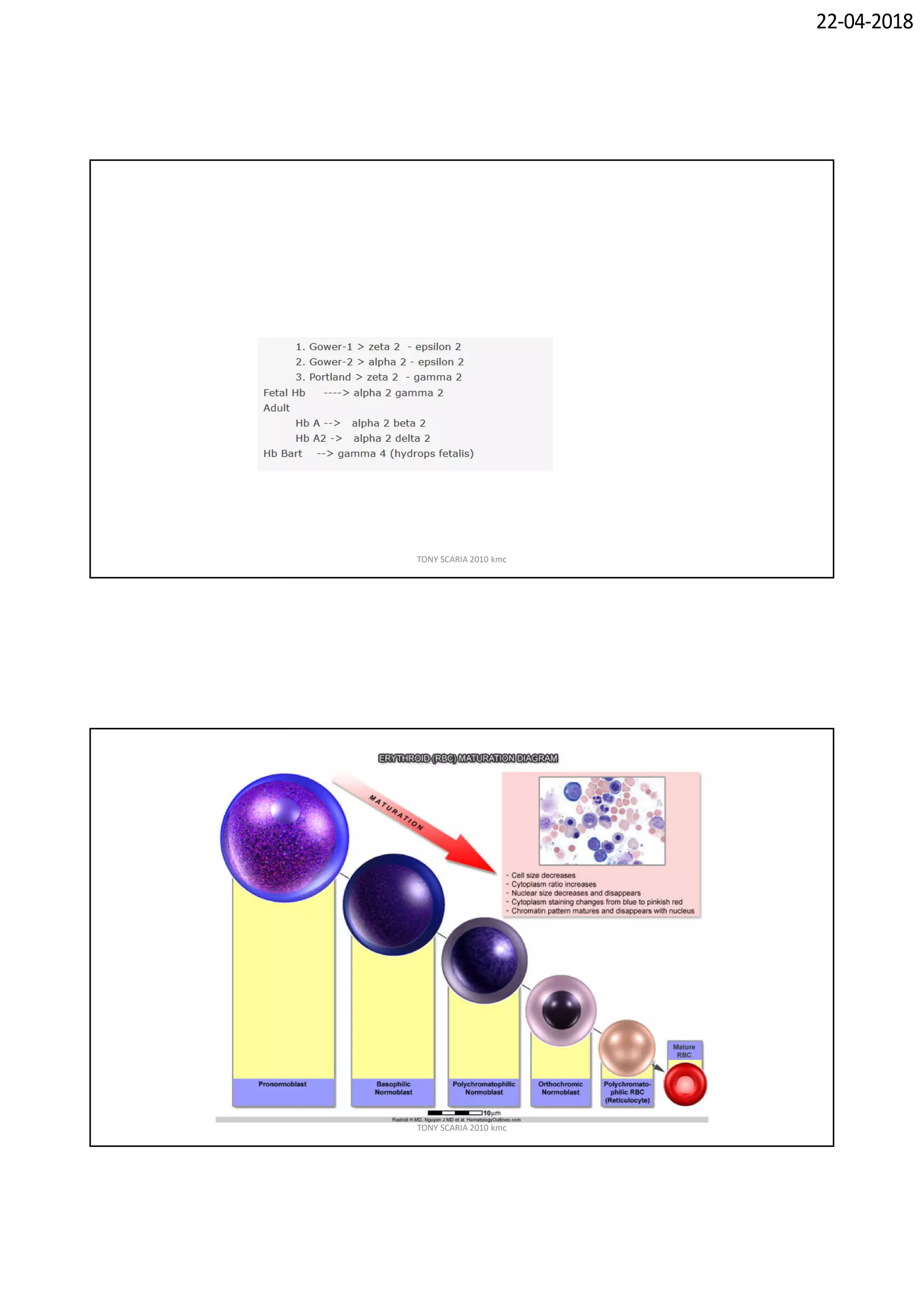 Hematology revision notes pathology | PDF