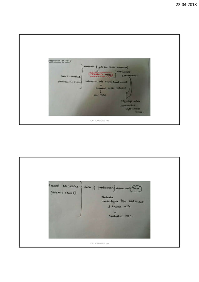 Hematology revision notes pathology | PDF