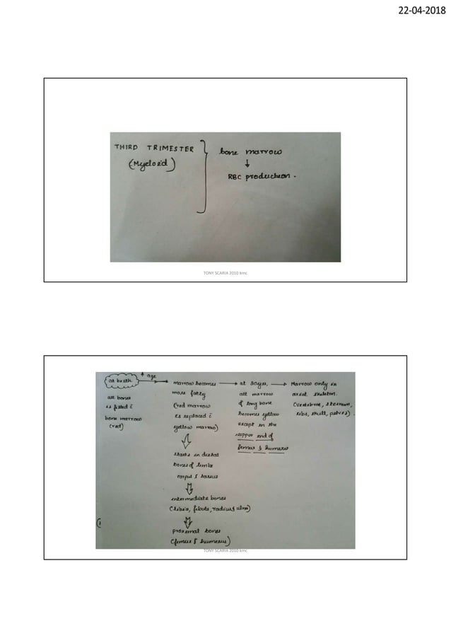 Hematology revision notes pathology | PDF