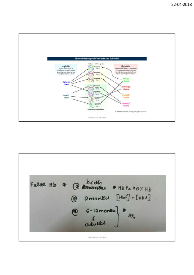 Hematology revision notes pathology | PDF