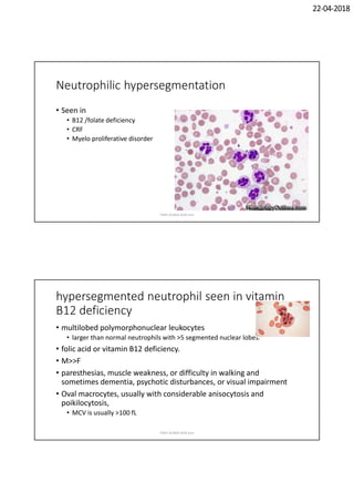 Hematology revision notes pathology | PDF