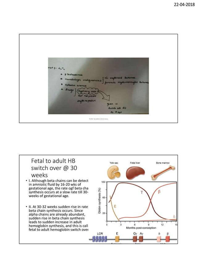 Hematology revision notes pathology | PDF
