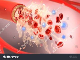 INTRODUCTION TO Hematology AND BLOOD 2.pptx | Blood Disorders ...