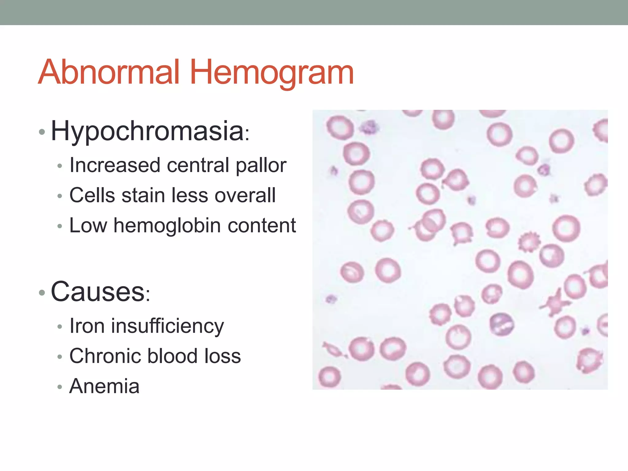 Hematology basics pt 1 jpg | PPTX