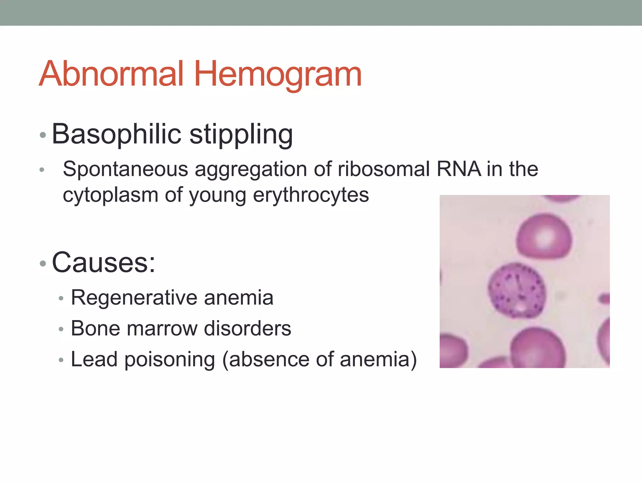 Hematology basics pt 1 jpg | PPTX