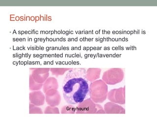Hematology basics pt 2 | PPT