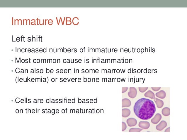 Hematology basics pt 2