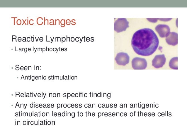 Hematology basics pt 2