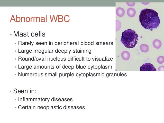 Hematology basics pt 2