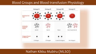 Hematology blood ABO system | PPTX