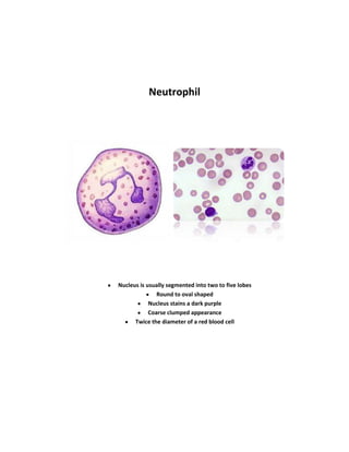 Hematology cell book | DOCX