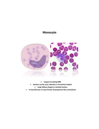 Hematology cell book | DOCX