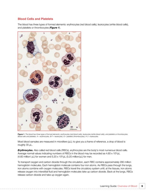 Hematology learning guide 1 | PDF