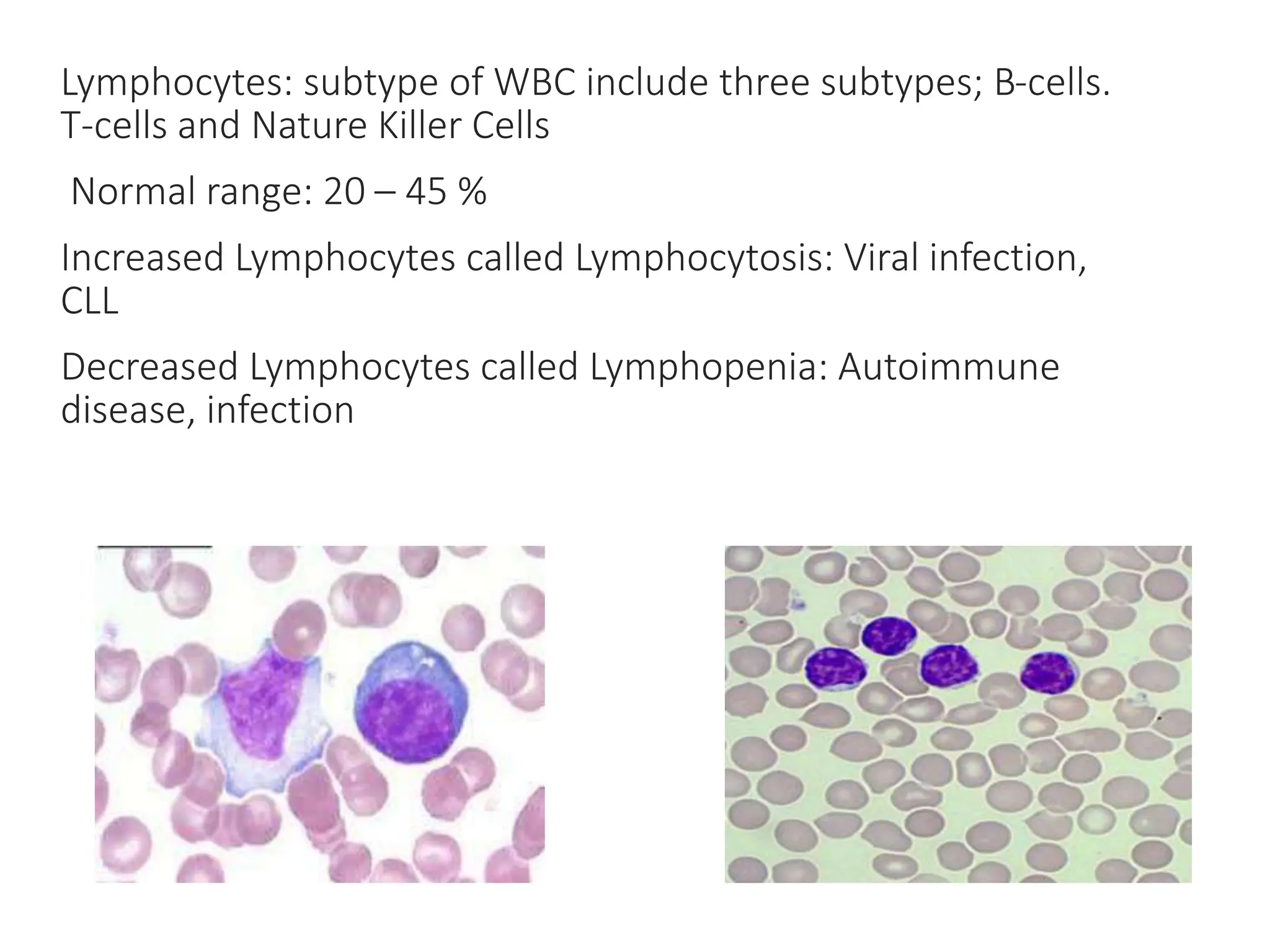 HEMATOLOGY METHODOLOGY .pptx