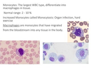 HEMATOLOGY METHODOLOGY .pptx
