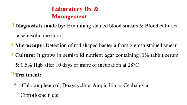Hematology MICRO.llllllllll..............pptx
