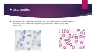 Hematology part 1 | PPT
