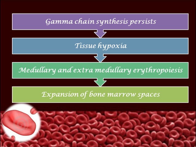 Hematology PPT- anemia, thalasemia, sickle cell anemia | PPT
