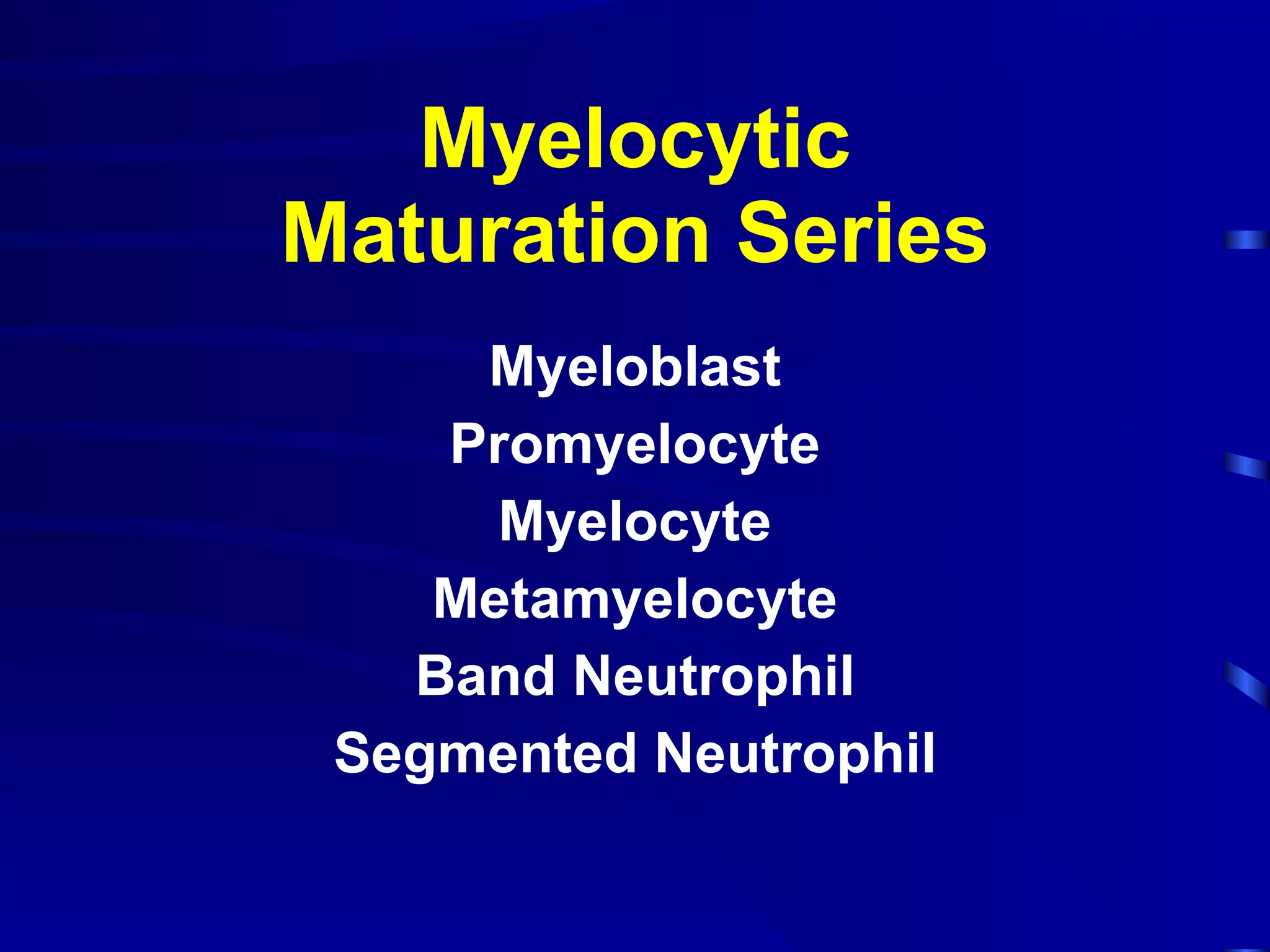 Hematology review '04 | PPT