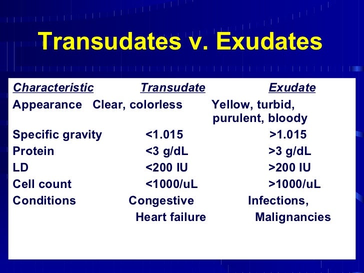 Hematology review '04