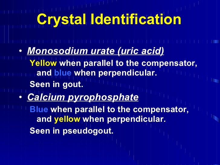 Hematology review '04