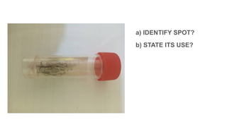Hematology and Blood Transfusion Spots.pptx
