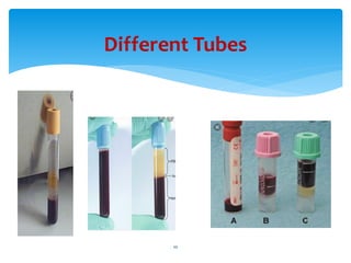 Hematopathology Lecture.pdf