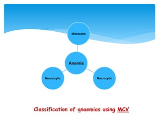Hematopathology Lecture.pdf