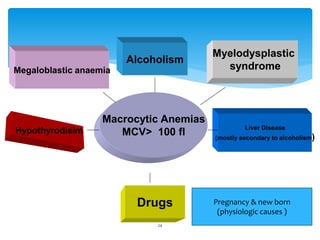 Hematopathology Lecture.pdf