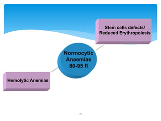 Hematopathology Lecture.pdf