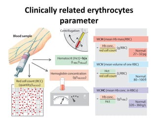 Basic Hematology | PDF