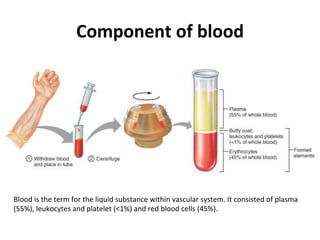 Basic Hematology | PDF
