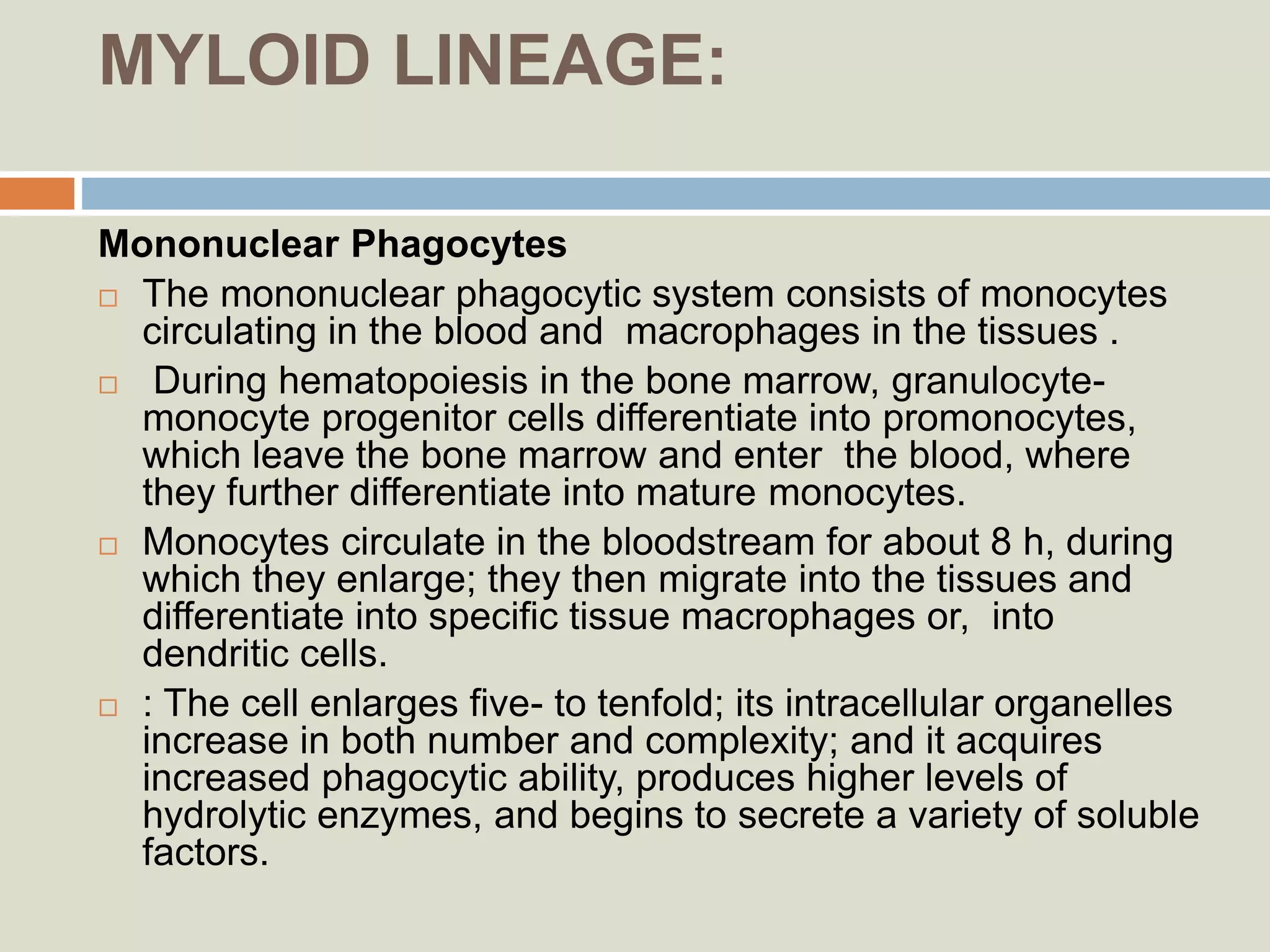 Hematopioesis | PPTX