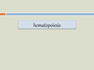 Hematopioesis | PPT