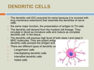 Hematopioesis | PPTX
