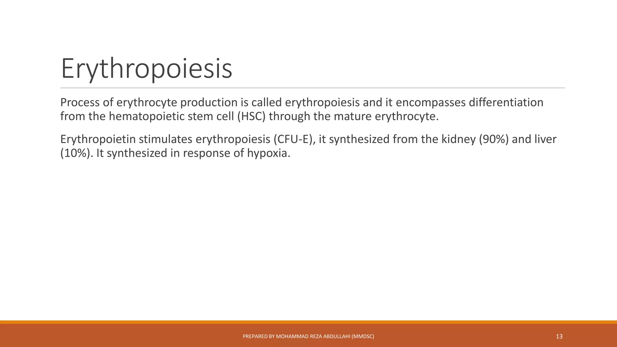 Hematopoiesis and Erythropoiesis | PDF