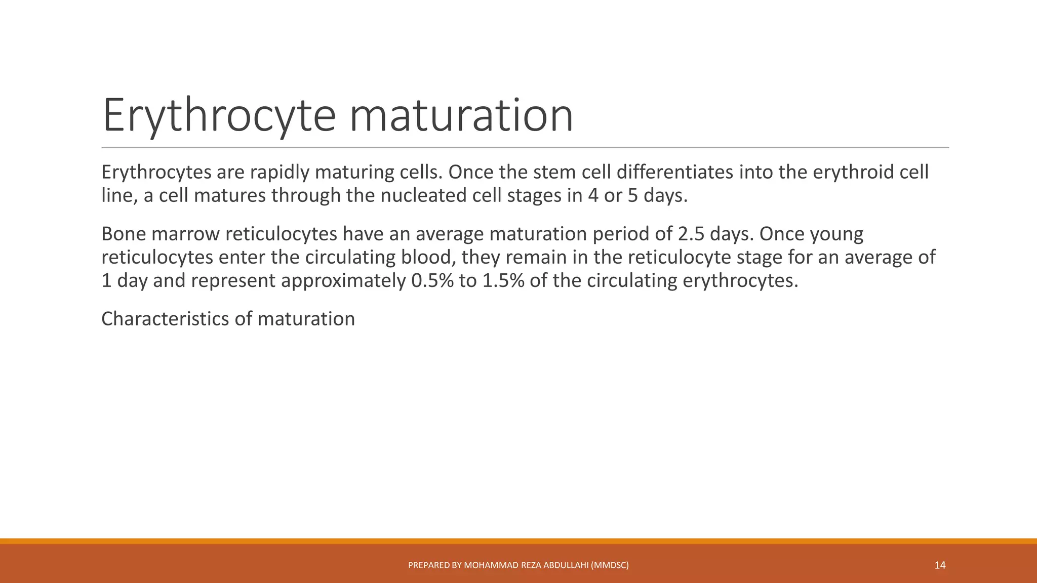 Hematopoiesis and Erythropoiesis | PDF | Blood Disorders | Diseases and ...
