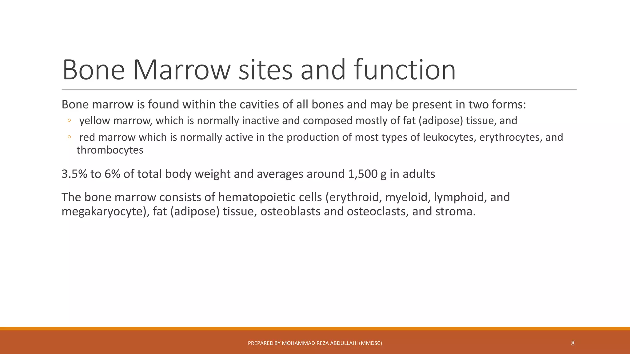 Hematopoiesis and Erythropoiesis | PDF