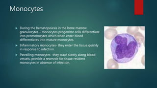 Hematopoeitic stem cells | PPTX