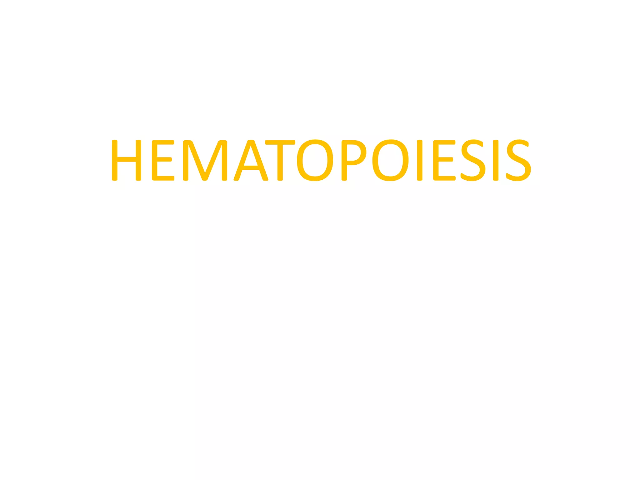 Hematopoesis | PPTX