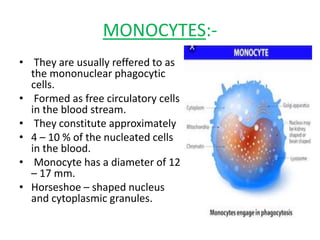 Hematopoesis | PPTX